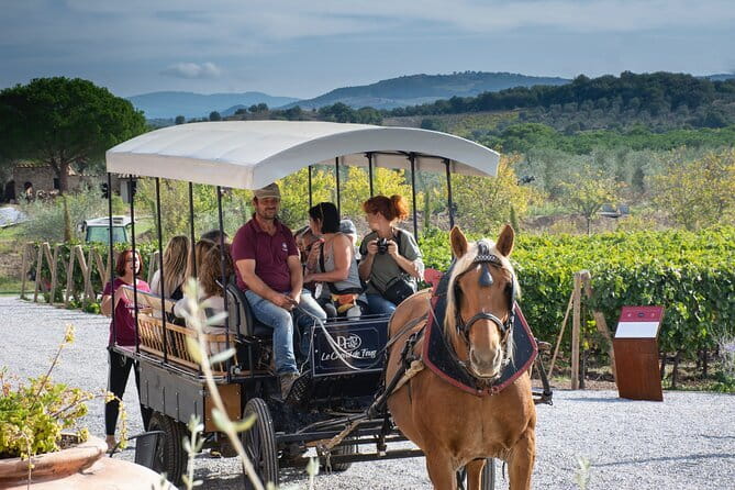 Exclusive Suvereto tour from Florence: Land of Elisa Bonaparte - Introduction