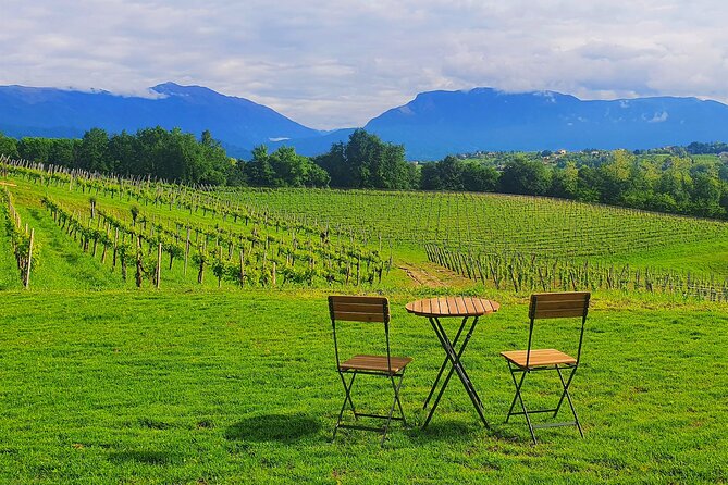 Exclusive Tour of the Vineyards with Visit to the Cellar! - Exclusive Tour of the Vineyards with Visit to the Cellar! — A Hands-On Wine Experience in Treviso
