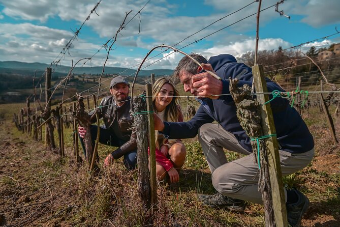 Exclusive Wine Tour and Tasting Experience in Siena - Key Points