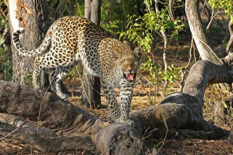 Explore Great Sri Lanka with tourist hot spots in 6 days - A Closer Look at the 6-Day Sri Lanka Itinerary