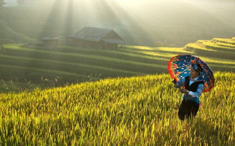 Explore Sa Pa with Overnight Train & Sleeper Bus & Trekking - Key Points