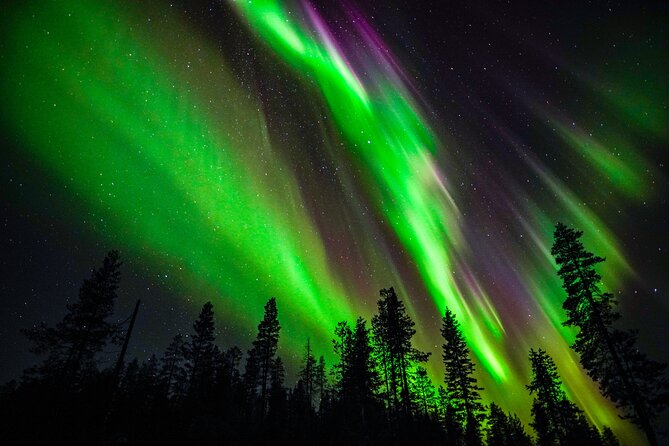Family-Friendly: Northern Lights Adventure from Rovaniemi - Family-Friendly: Northern Lights Adventure from Rovaniemi – An In-Depth Review