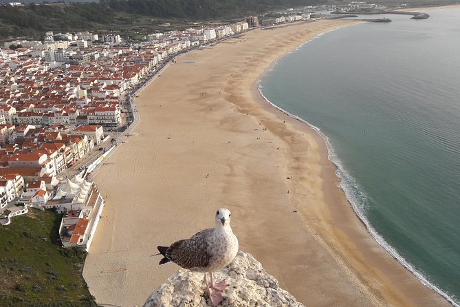Fátima, Batalha, Nazaré and Óbidos day Tour - Who Should Book This Tour?