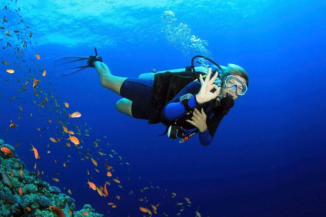 Fethiye Scuba Diving Experience By A Local Expert - Fethiye Scuba Diving Experience By A Local Expert: An Authentic Underwater Adventure