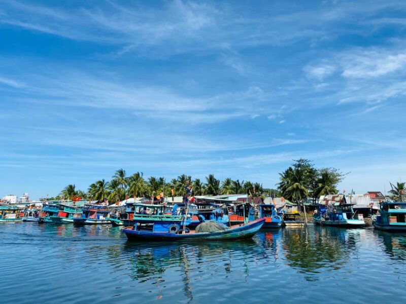Fisherman life Insider - Great fun by Scooters - Key Points