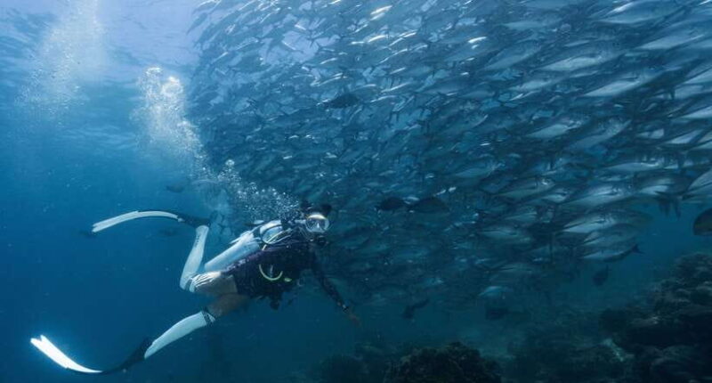 Fisheye Divers: Advanced Open Water Course - Key Points