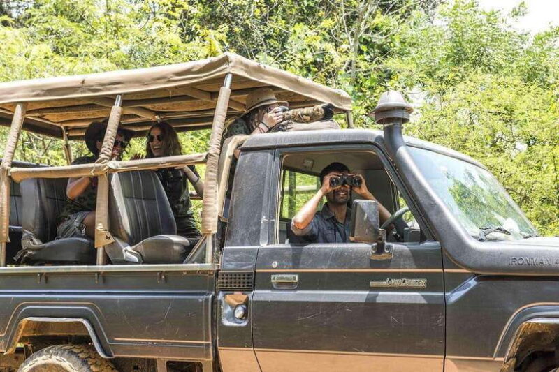 From Anuradhapura: Full Day Wilpattu's Wild Wonders -Private - A Detailed Look at the Wilpattu Safari Experience