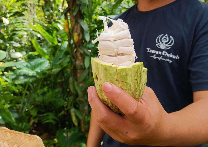 From Bali: Cooking Class at Ubud Organic Farm - A Practical Guide to Bali’s Ubud Organic Farm Cooking Class