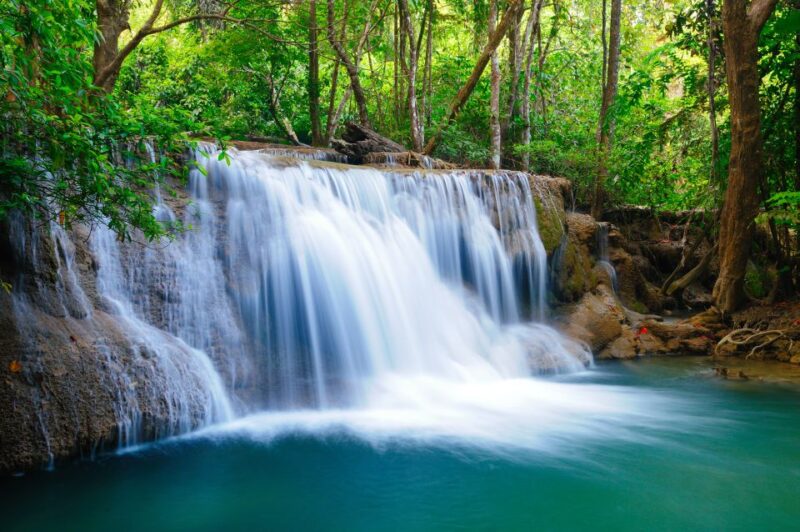 From Bangkok: Erawan Park & Elephant Feeding Private Tour - A Detailed Look at the Tour Experience