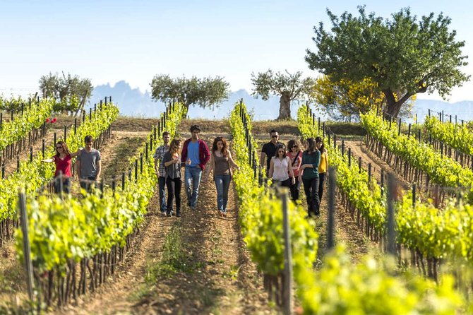 From Barcelona: El Penedès Hike & Wines - Exploring the El Penedès Hike & Wines Tour from Barcelona