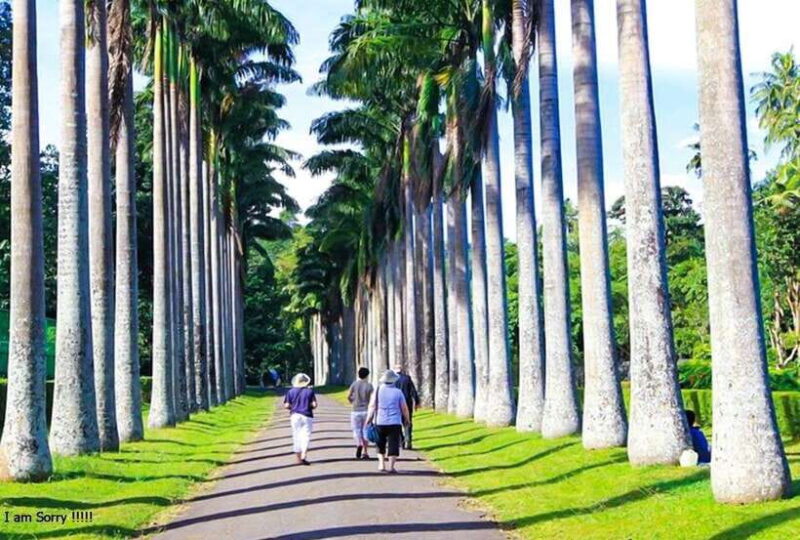 From Bentota/Kalutara: Magical Journey to Kandy & Pinnawala - Key Points