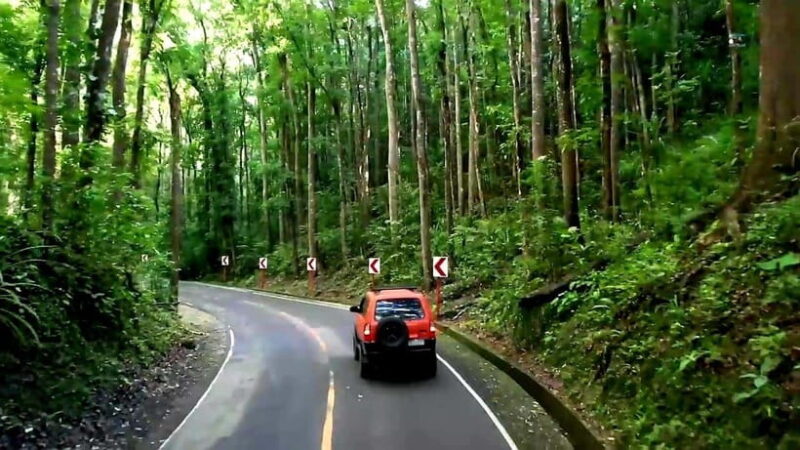 From Cebu: Bohol Countryside & Buffet Lunch Exclusive Tour - Exploring the Cebu to Bohol Countryside & Buffet Lunch Exclusive Tour