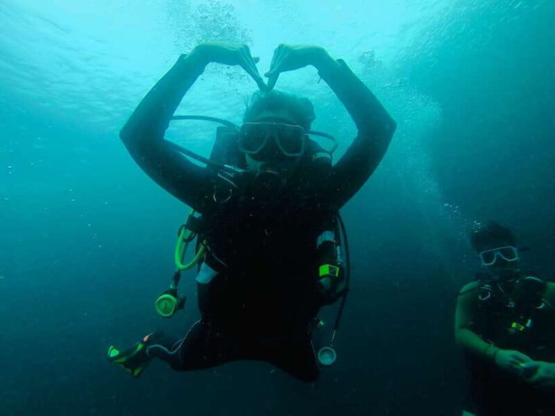 From Cebu City: Scuba Diving with Whale Sharks Trip in Oslob - Key Points