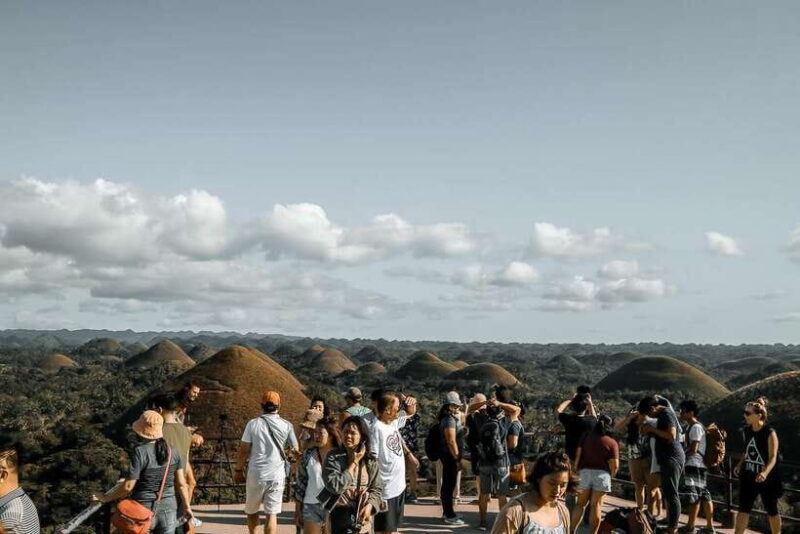 From Cebu: Day Trip to Bohol Highlights - Key Points