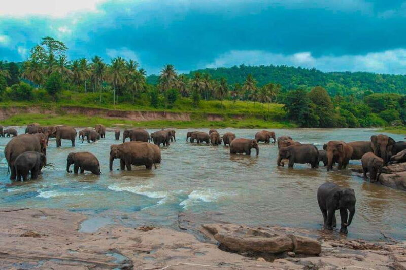 From Colombo: 4-Day Sri Lanka Tour with Elephant Orphanage - Introduction