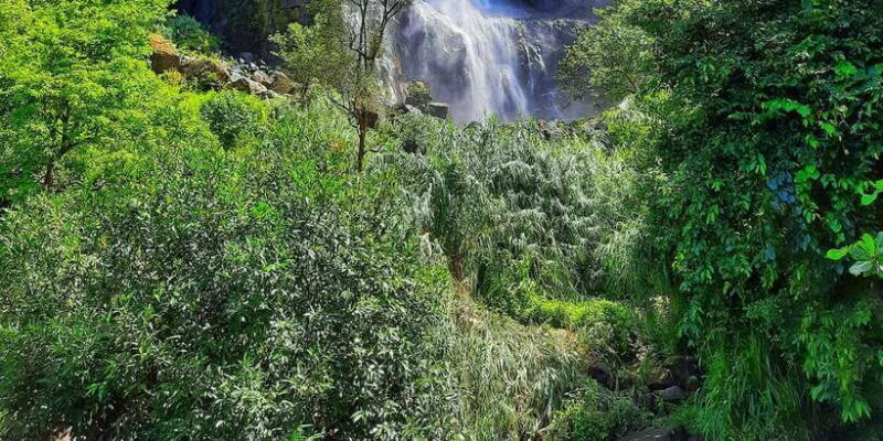 From Ella: Diyaluma Waterfall and Natural Pool Bath Tour - Key Points