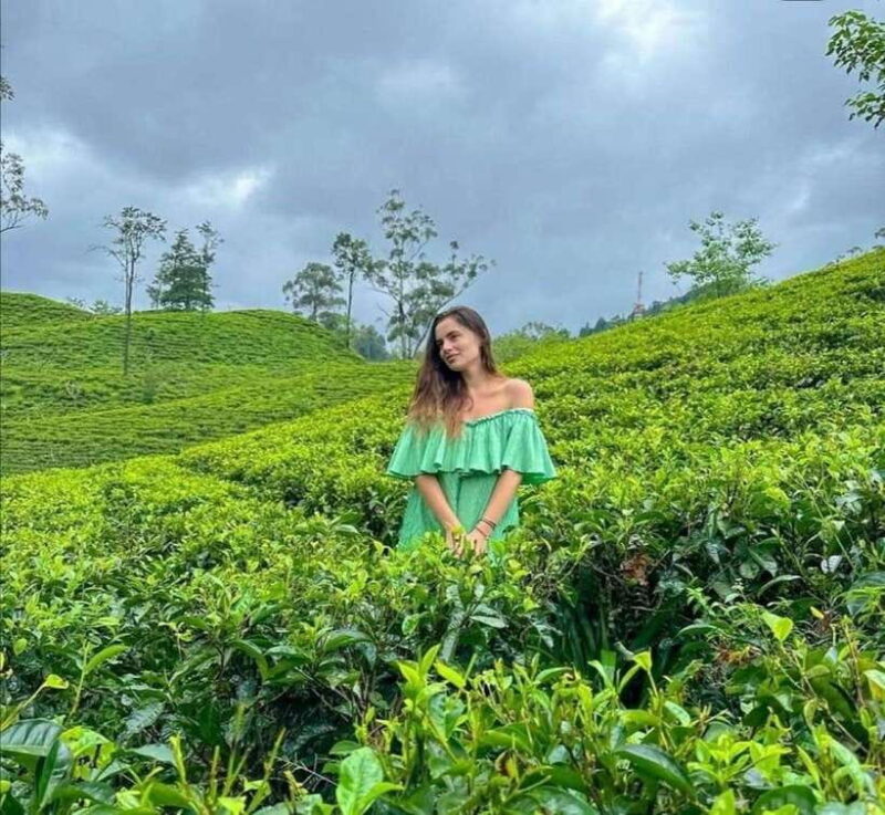 From Galle/Hikkaduwa/Mirissa -All-Inclusive Day Trip to Ella - Key Points