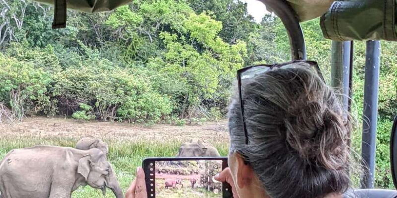 From Hikkaduwa/ Galle/ Mirissa - Yala National Park Safari - Key Points