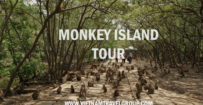 From Ho Chi Minh City: Can Gio Mangrove Guided Forest Tour - Key Points