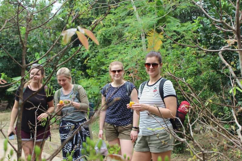 From Ho Chi Minh: Mekong Delta 2 days group or private - What to Expect from the 2-Day Mekong Delta Tour from Ho Chi Minh