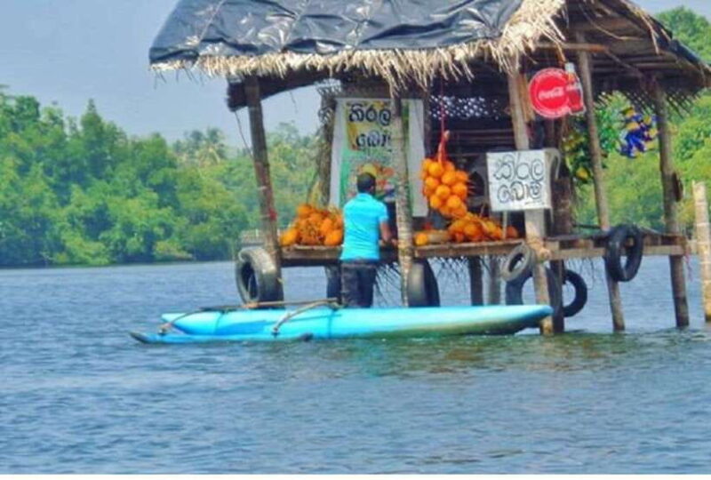 From Kalutara: Exclusive Madu River Safari & Turtle Hatchery - Key Points