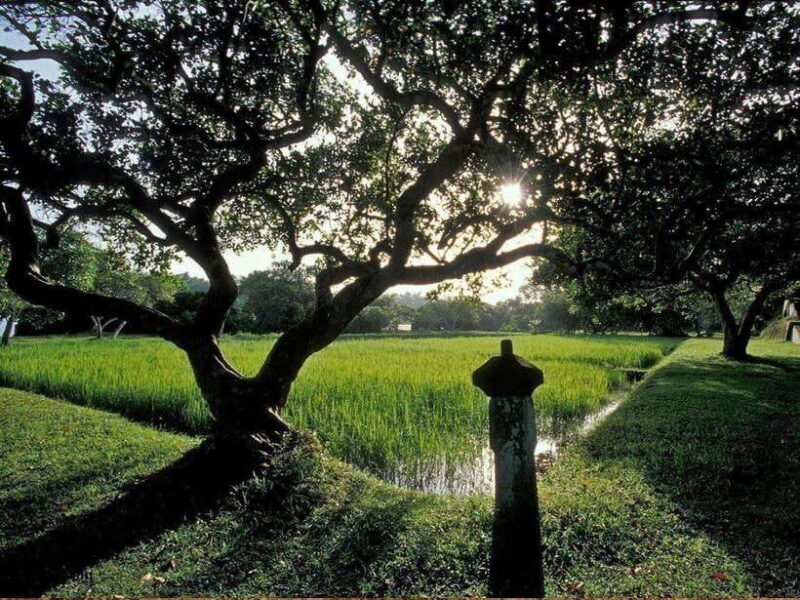 From Kalutara/Waskaduwa: Lunuganga & Brief Garden Tour - Exploring the Beauty and History of Sri Lanka’s Gardens: Lunuganga & Brief Garden Tour