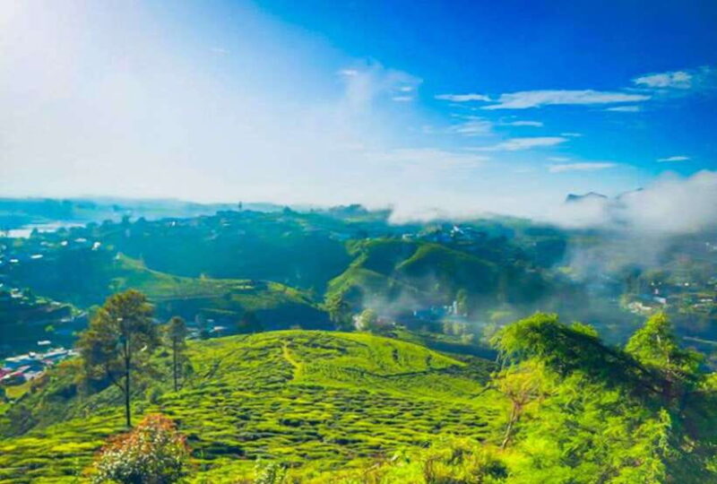 From Kandy: All Inclusive Nuwara Eliya Day Tour with Lunch - Key Points