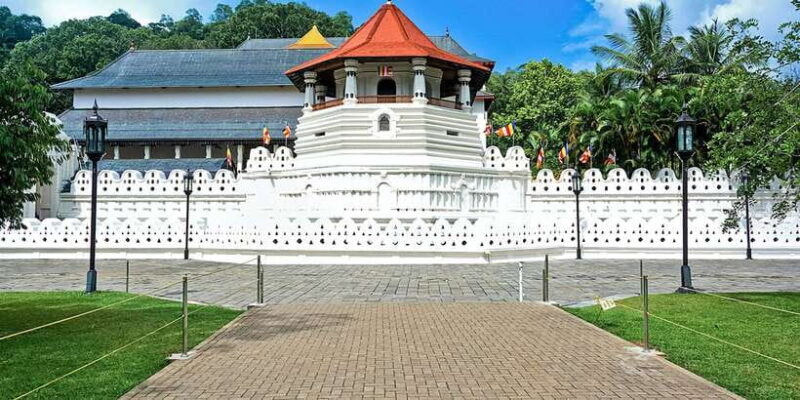 From Kandy: Pinnawala Day Tour - Key Points