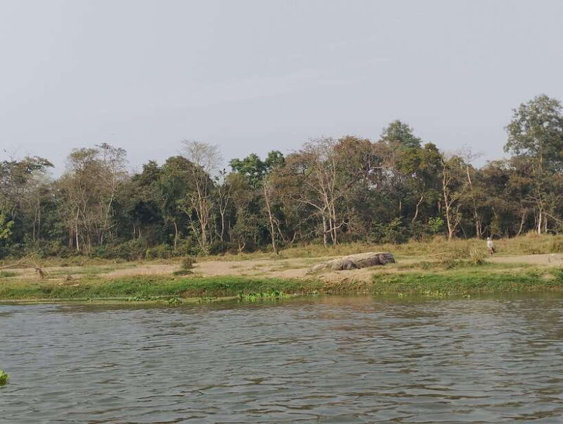 From Kathmandu or Pokhara 3 day Chitwan Tour with Rafting - Key Points