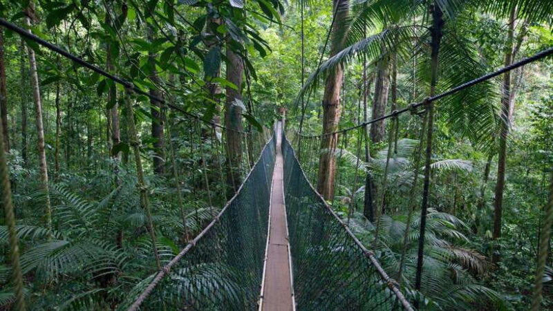 From Kuala Lumpur: Full Day Tour to Taman Negara - Key Points