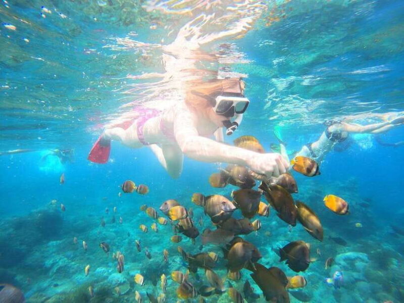 From Lembongan: Private Snorkeling Tour To Nusa Penida - Key Points