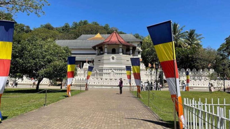 From Negombo : Pinnawala & Tea Factory & Kandy Full Day Trip - Key Points