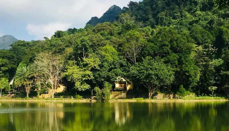 From Ninh Binh : Cuc Phuong National Park Full Day Trip - Why This Tour Is Worth Considering