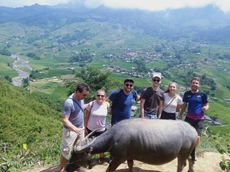 From Sapa : 1 Day Amazing Sapa Trek To Terrace rice field - Key Points