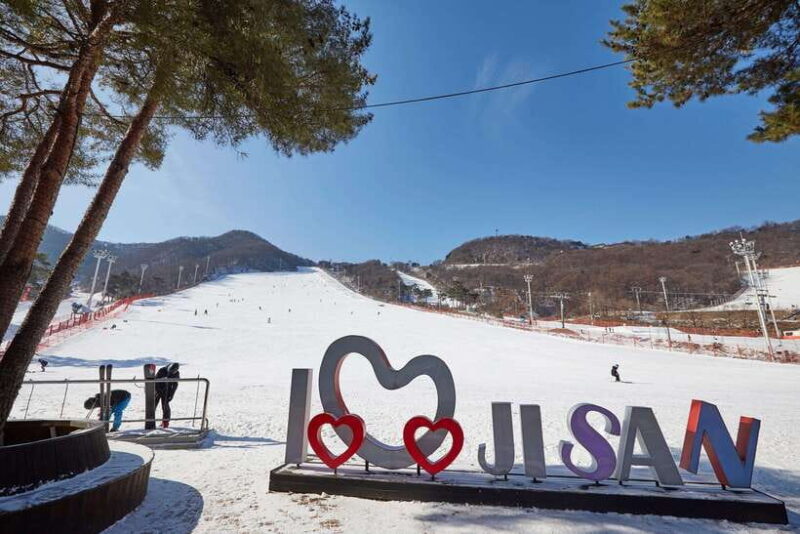 From Seoul: Korea Ski Tour - Jisan Forest Resort - Key Points