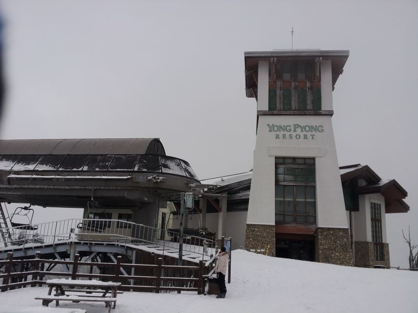 From Seoul: Yongpyong Ski Day Tour with Transportation - What Makes This Tour Stand Out