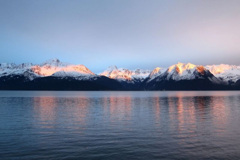 From Seward: Half-Day Resurrection Bay Wildlife Cruise Tour - Key Points