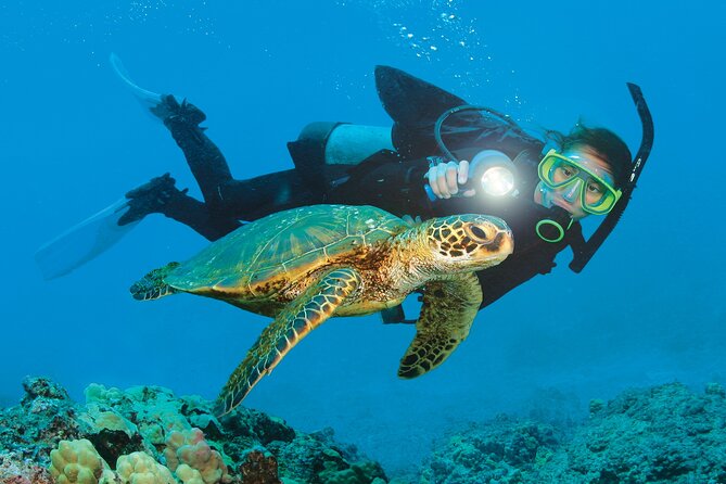 From Side, Alanya: Scuba Diving With 2 Time Dive & Lunch - Introduction: A Taste of the Underwater World in Alanya