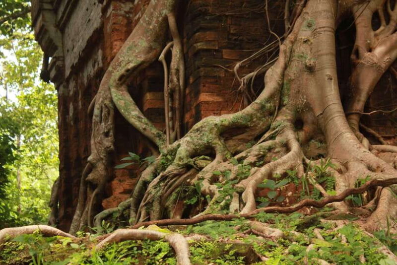 From Siem Reap: Beng Mealea and Koh Ker Temple Day Trip - Discovering Cambodia’s Hidden Temples: An In-Depth Review