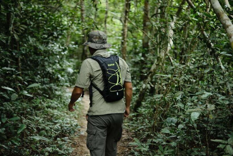 From Siem Reap: Phnom Kulen National Park Trekking Tour - Key Points