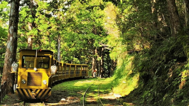 From Taipei: Taipingshan National Forest Private Day Tour - Key Points