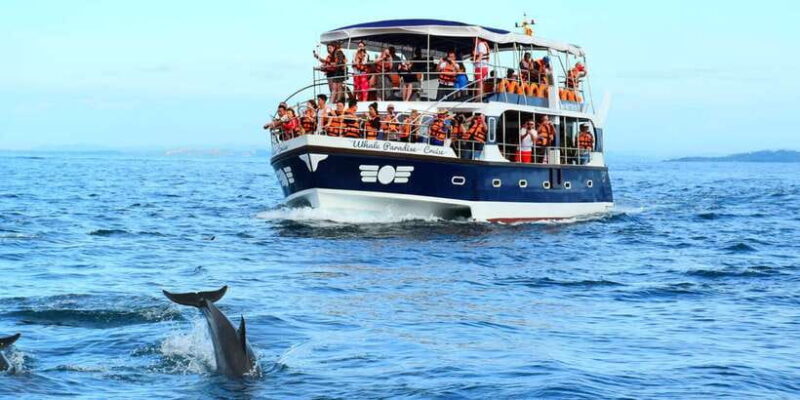 From Tangalle: Mirissa Whale Watching Tour with Breakfast - Key Points