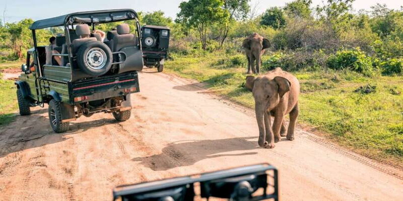 From Western Province: 2-Day Hill Country Highlights Trip - Exploring Sri Lanka’s 2-Day Hill Country Highlights: An Honest Look