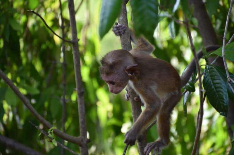 From:Mirissa/Galle/Hilkaduwa with Udawalawe safari - Key Points