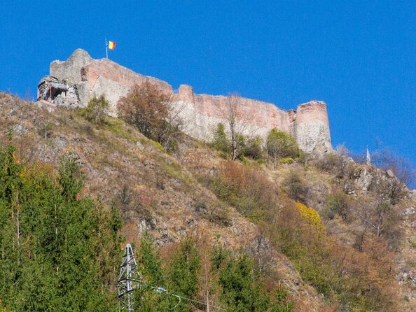 Full-Day Private Carpatian Garden with Dracula's Fortress - Wild Brown Bears - Key Points
