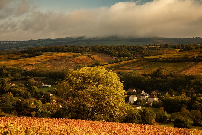 Full-Day Private Wine Tour in Côte de Beaune - Key Points