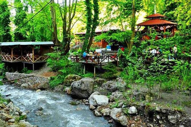 Full Day Tour in Sapanca & Masukiye from Istanbul - Darica Zoo and Sea Aquarium