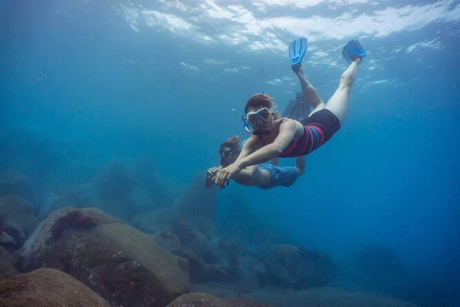 Funchal: Snorkeling Adventure in Eco-Park / Shore or by Boat - Key Points