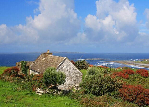 Galway to Cliffs of Moher, Aillwee Cave & Dunguaire Castle Tour - Key Points