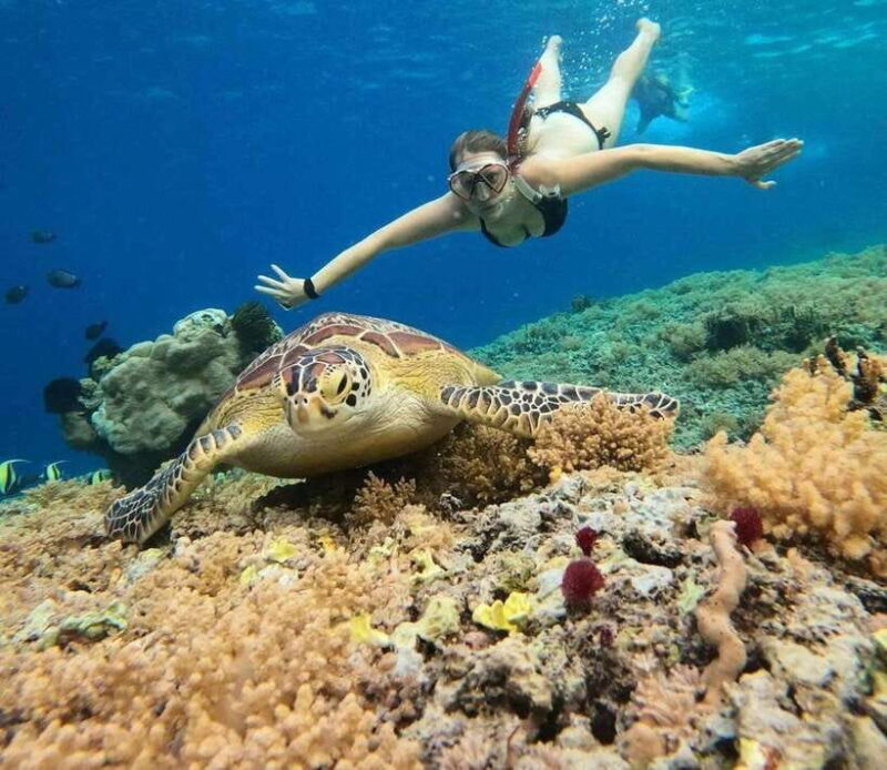 Gili Meno: Private Snorkeling 3 & 4 Spot with Gopro Camera - Key Points